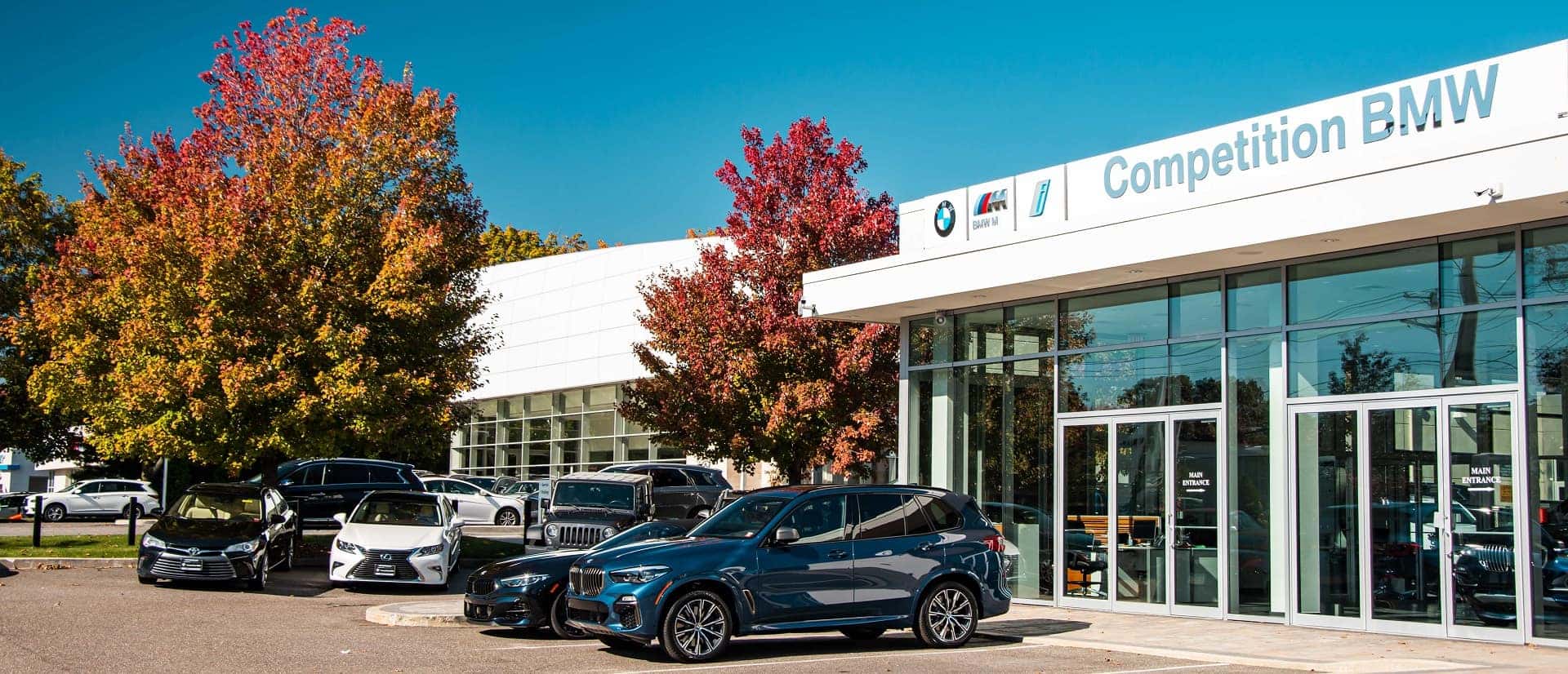 Competition BMW's Fruitful Future with One Tree Planted | Competition ...