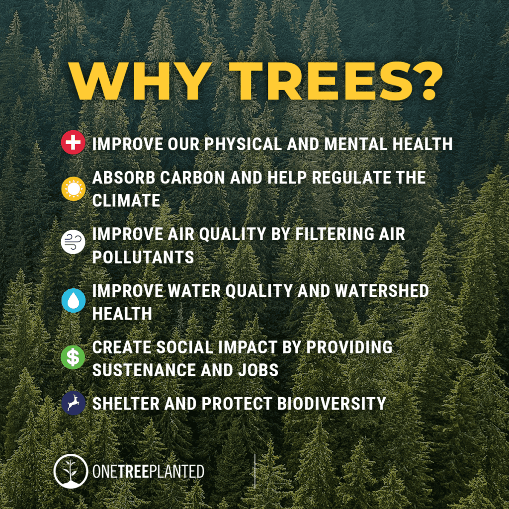 Competition BMW's Fruitful Future with One Tree Planted | Competition ...