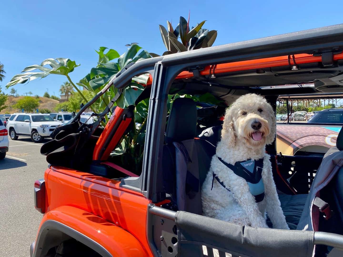 Ram, Jeep, Chrysler All Earns Spots On Autotrader 10 Best List For Dog ...