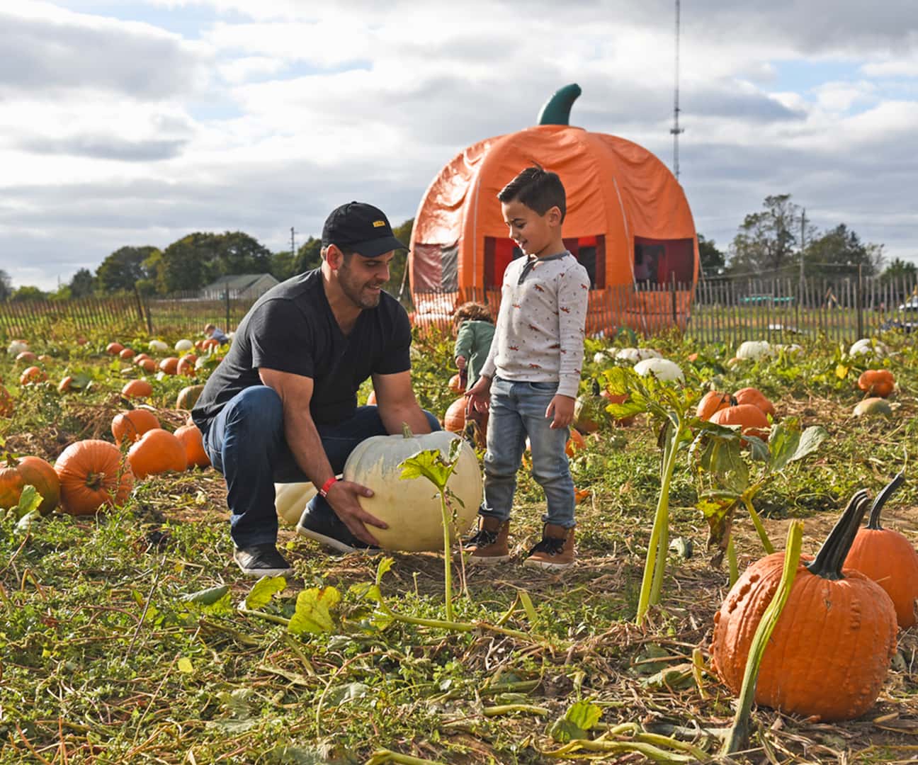 The Best Fall Events Near Huntington in 2025 | Mercedes-Benz of Huntington