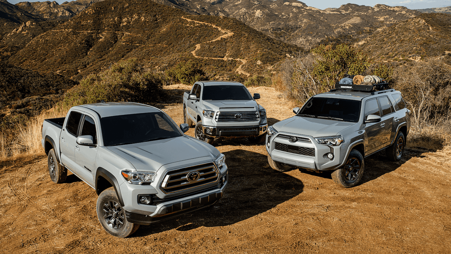 Catalog of Special Edition Toyotas | Toyota of North Charlotte