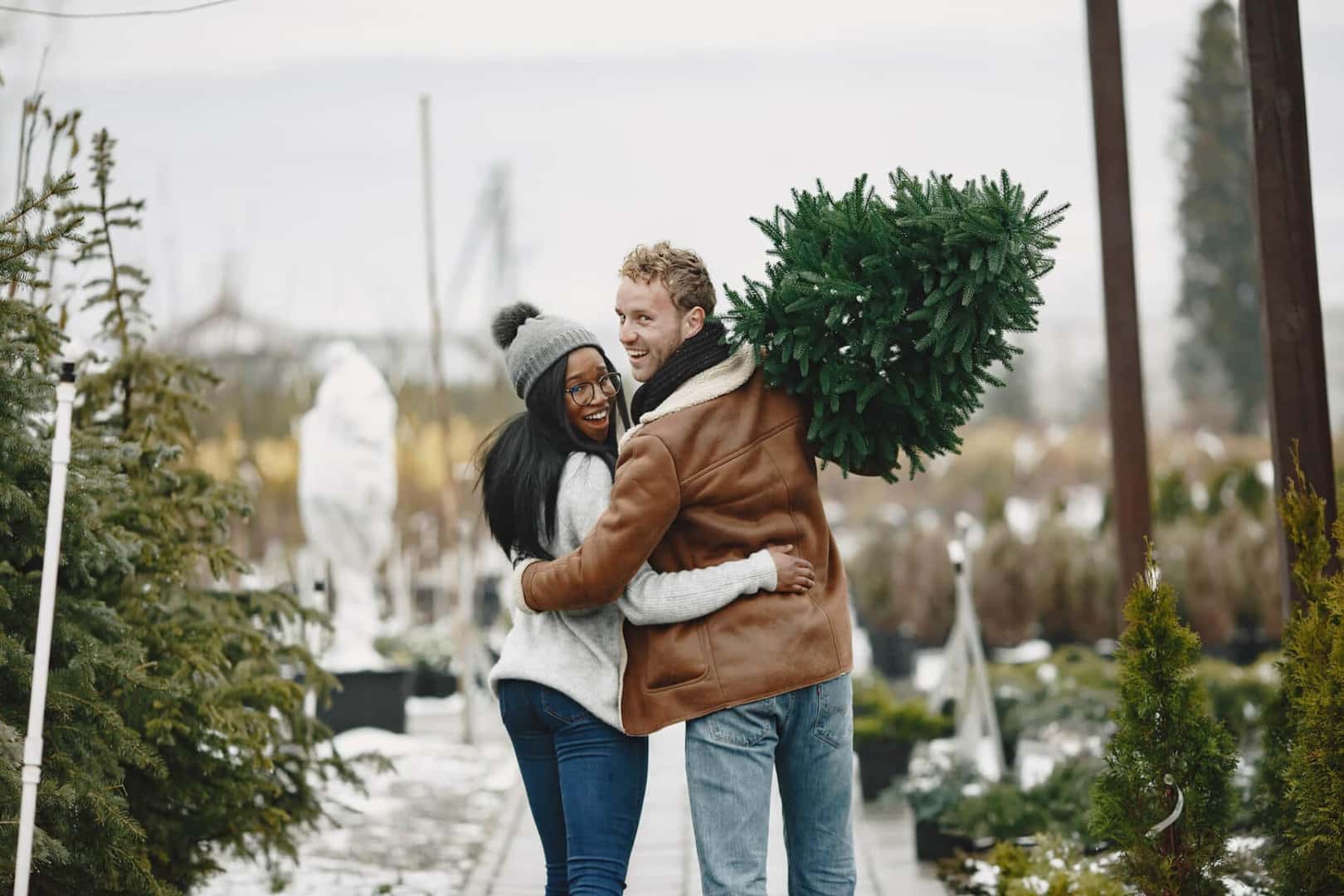 Where to Get Your Christmas Tree in 2022 | Toyota of North Charlotte