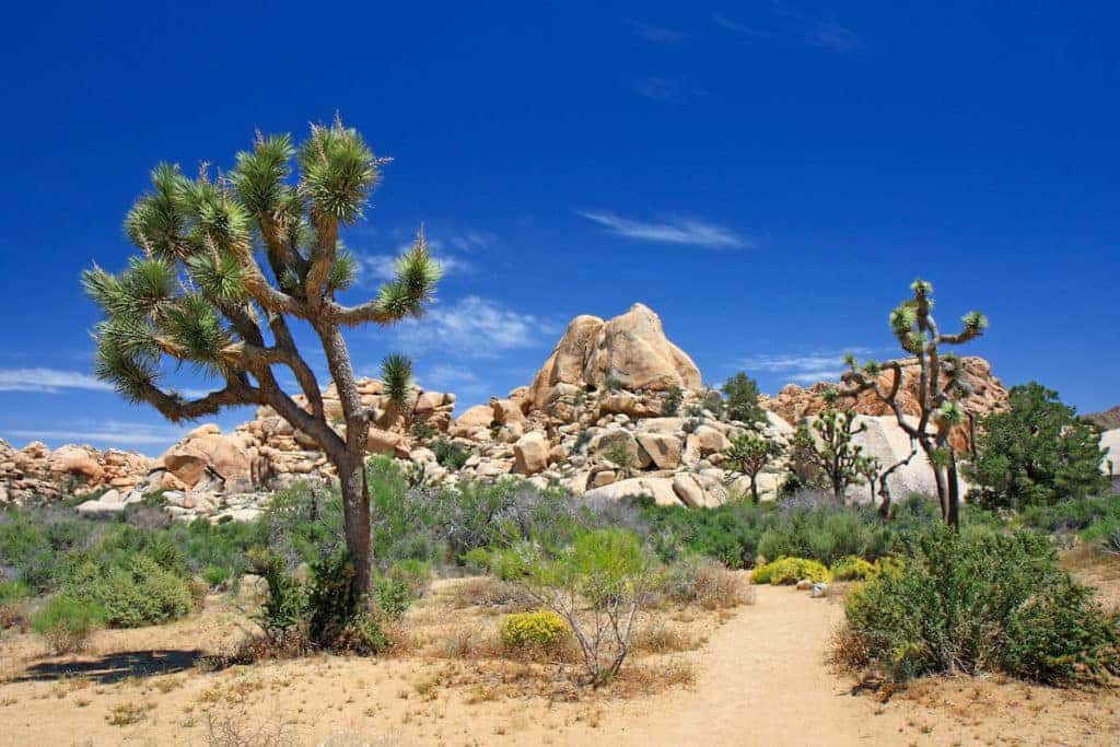 Our top 2023 spring break road trips to take | Toyota of North Charlotte