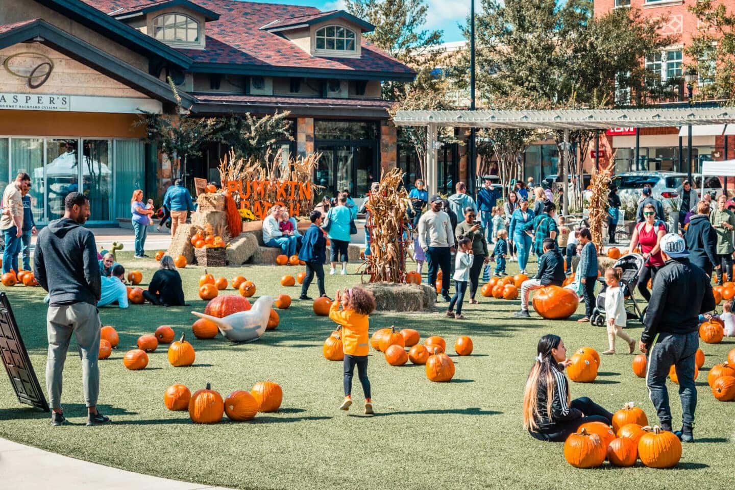 5 Fall Festivals Near Charlotte Metro Area | Toyota of North Charlotte