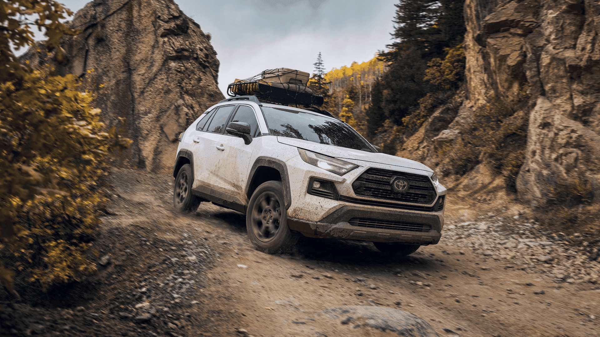 Your Guide to the Safest Cars for Teens | Toyota of North Charlotte
